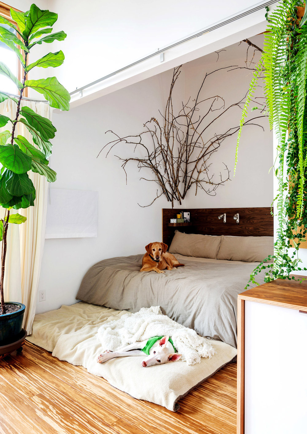 23 Stylish Small Bedroom Plants Home Decoration And Inspiration Ideas 23 Stylish Small Bedroom Plants Home Decoration And Inspiration Ideas